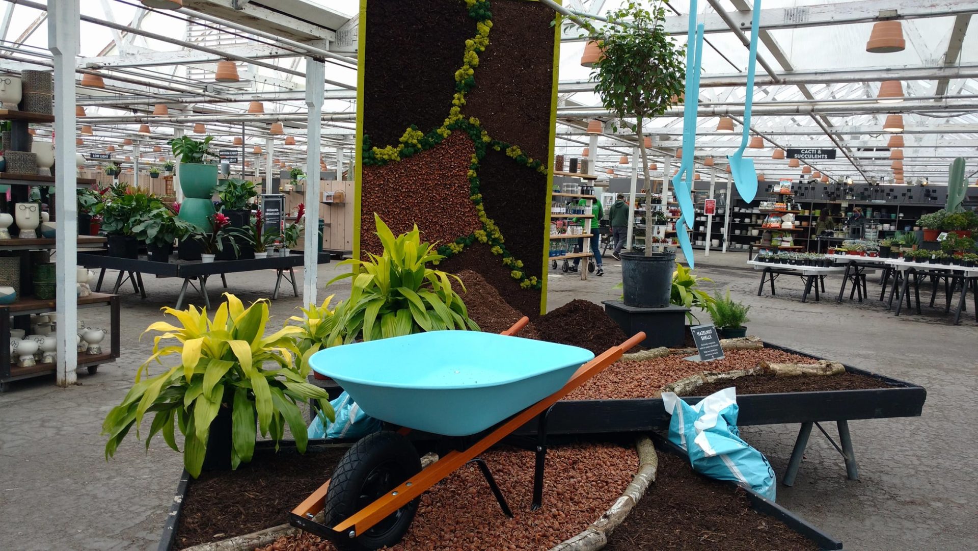 Hazelnut Shells | Holmquist Hazelnut Orchards