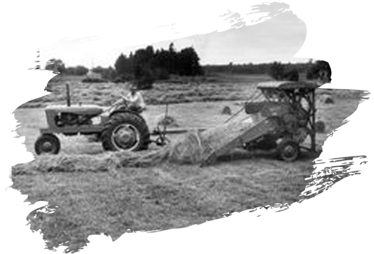 Our Story | Family History of | Holmquist Hazelnut Orchards